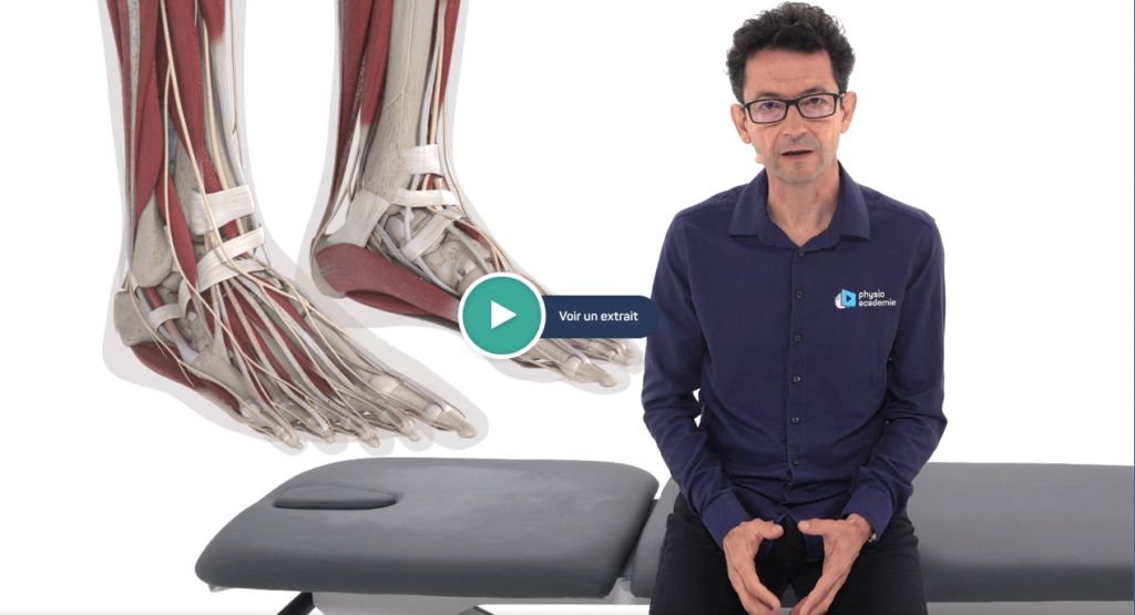 Physioacademie - Black Week - Kine-Web.com