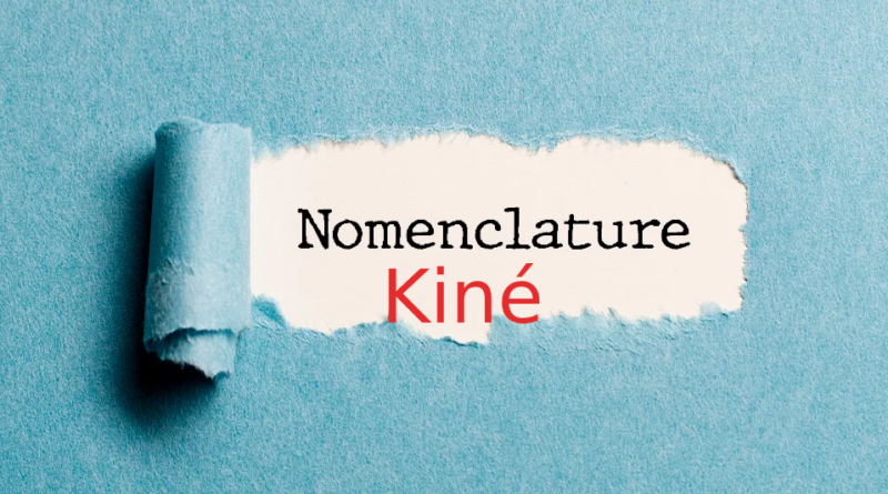 NGAP 2024 pour les kinés - Kine-Web.com